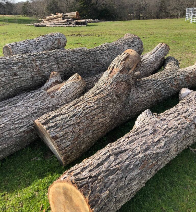 Home - AgTimber